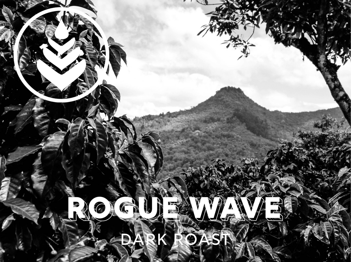 ROGUE WAVE – Bard Coffee